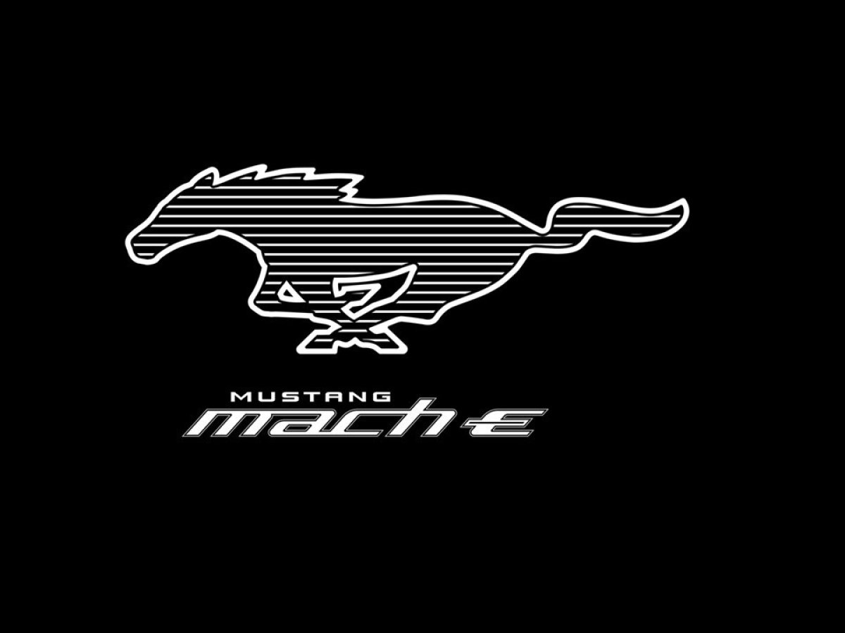 Ford Mustang Mach-E: Nachwuchs im Stall | Autonotizen